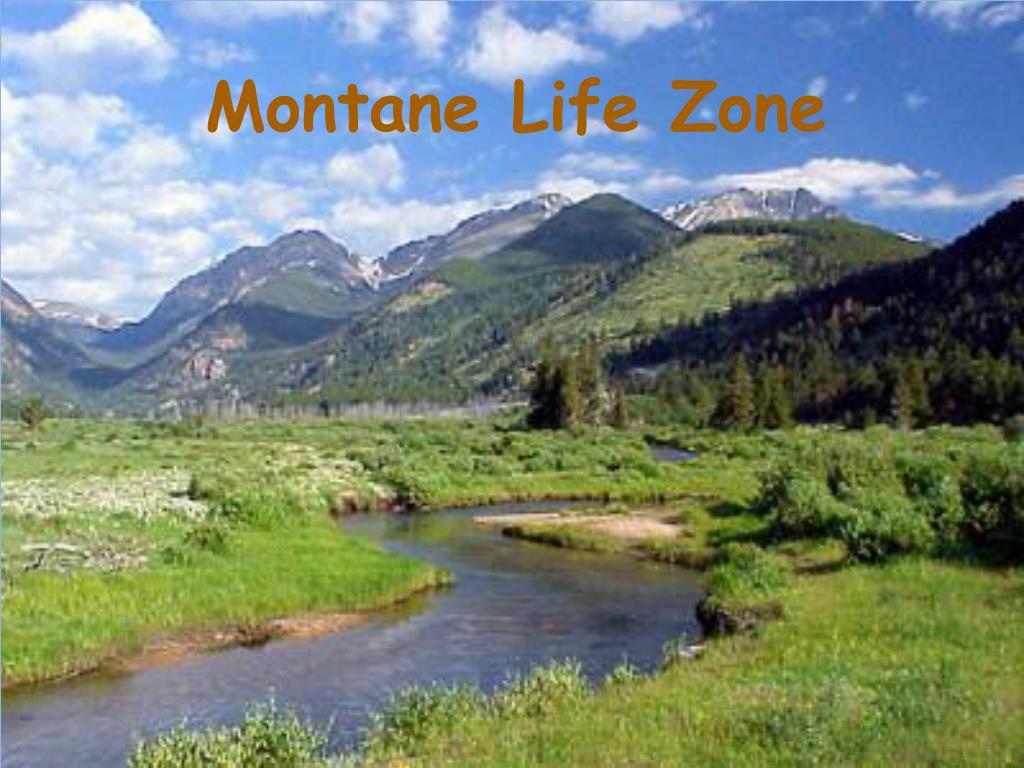 PPT - Colorado Life Zones PowerPoint Presentation, free download - ID ...