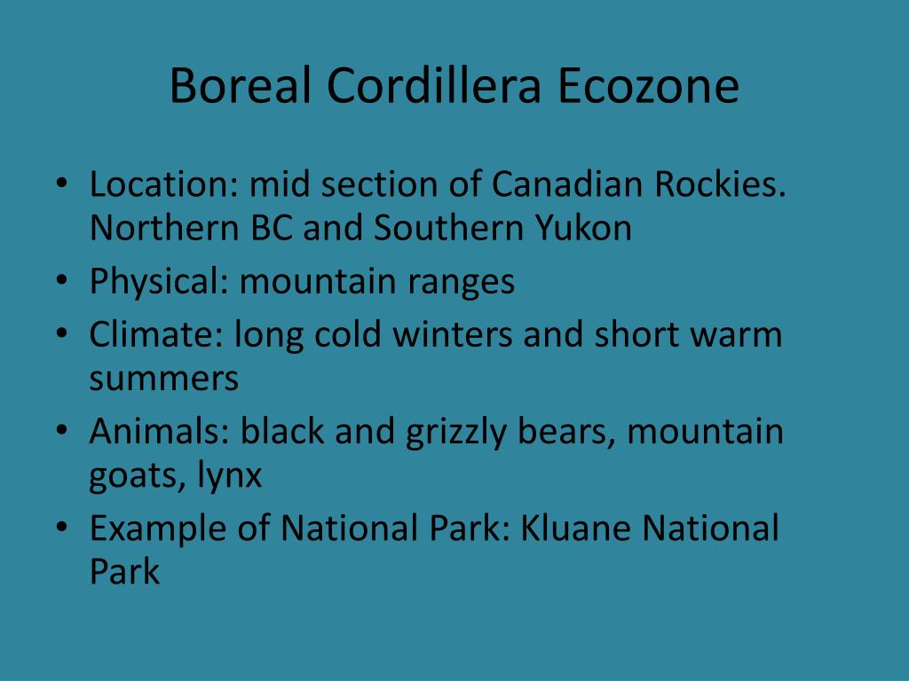 PPT - Canada’s Terrestrial Ecozones of Canada PowerPoint Presentation ...