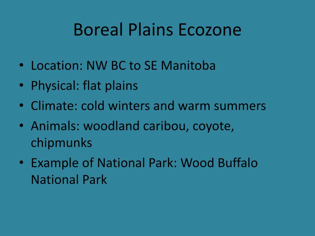 PPT - Canada’s Terrestrial Ecozones of Canada PowerPoint Presentation ...