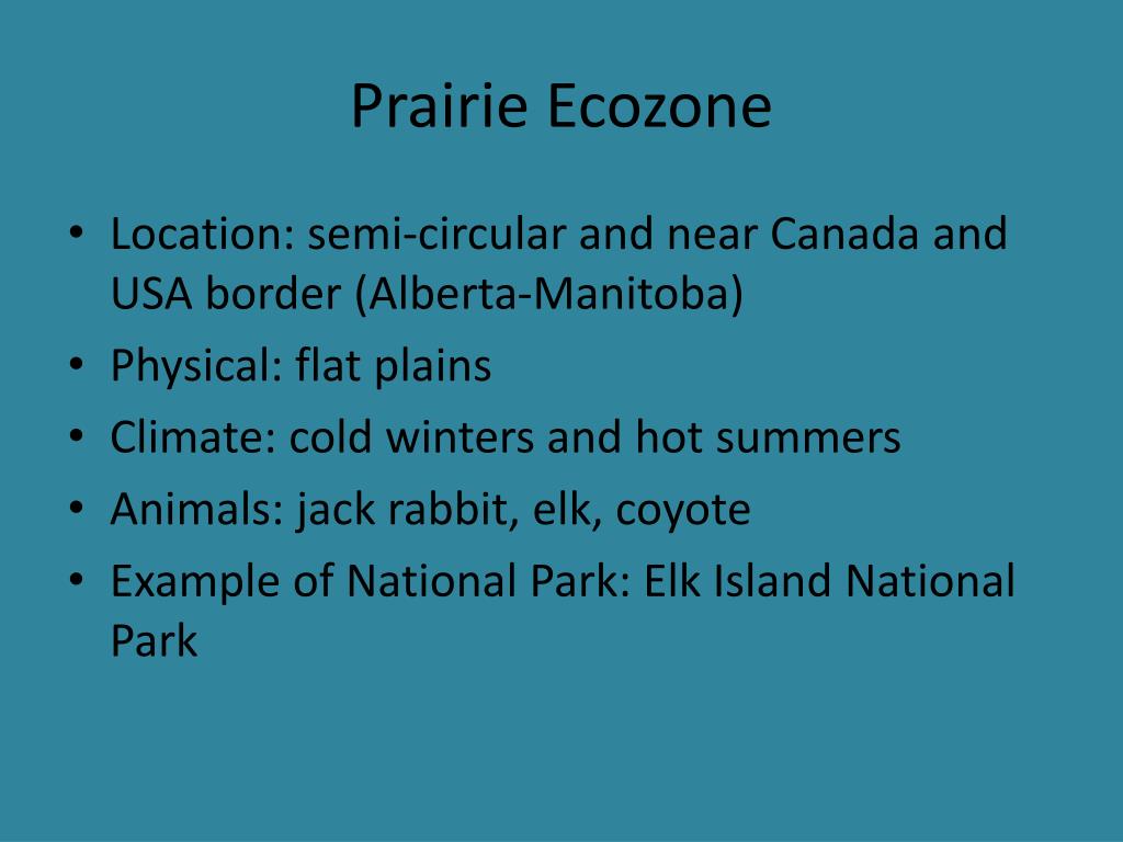 PPT - Canada’s Terrestrial Ecozones of Canada PowerPoint Presentation ...