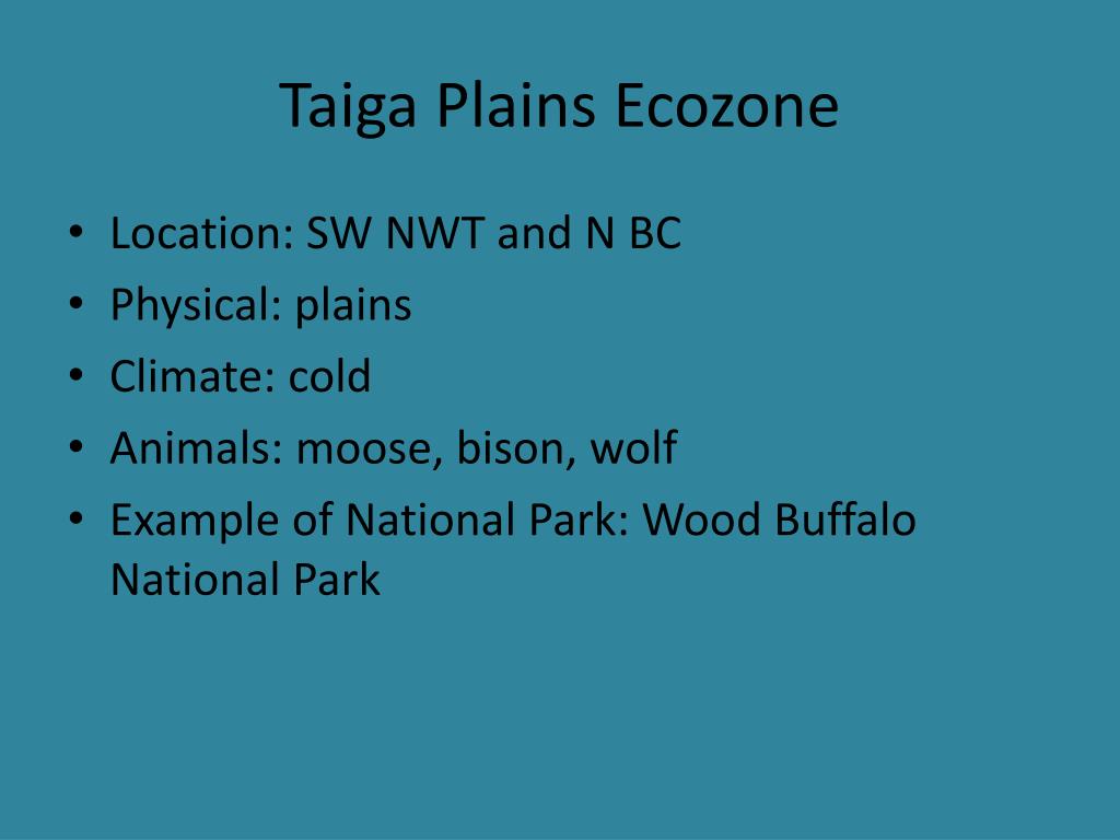 PPT - Canada’s Terrestrial Ecozones of Canada PowerPoint Presentation ...