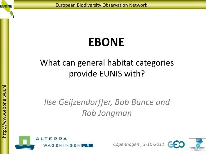 PPT - Ebone PowerPoint Presentation, free download - ID:2010945