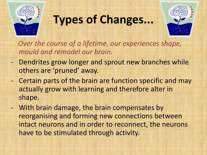 PPT - Brain Plasticity PowerPoint Presentation - ID:2011086