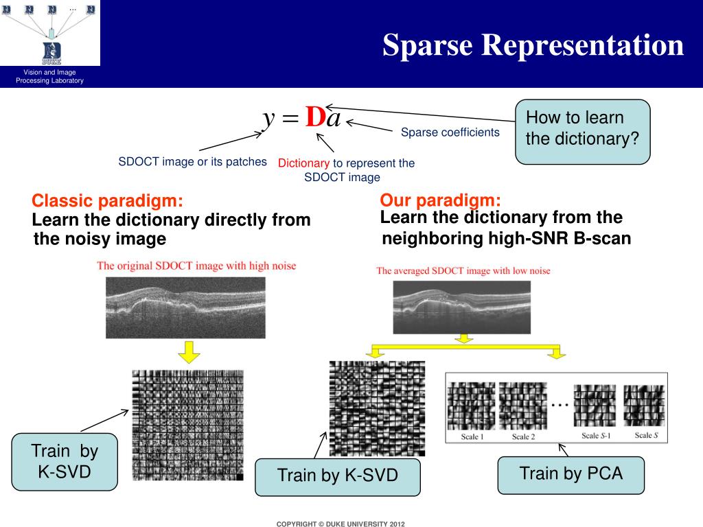 PPT - Sparsity Based Denoising of Spectral Domain Optical Coherence ... PPT - Sparsity Based Denoising of Spectral Domain Optical Coherence ...