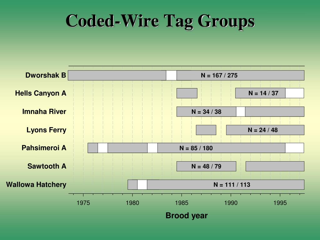 PPT - Richard W. Carmichael and Tim Hoffnagle Oregon Department of Fish ...