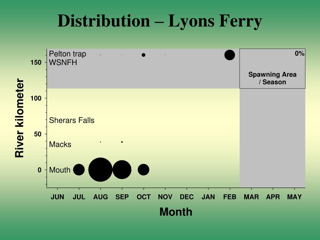 PPT - Richard W. Carmichael and Tim Hoffnagle Oregon Department of Fish ...