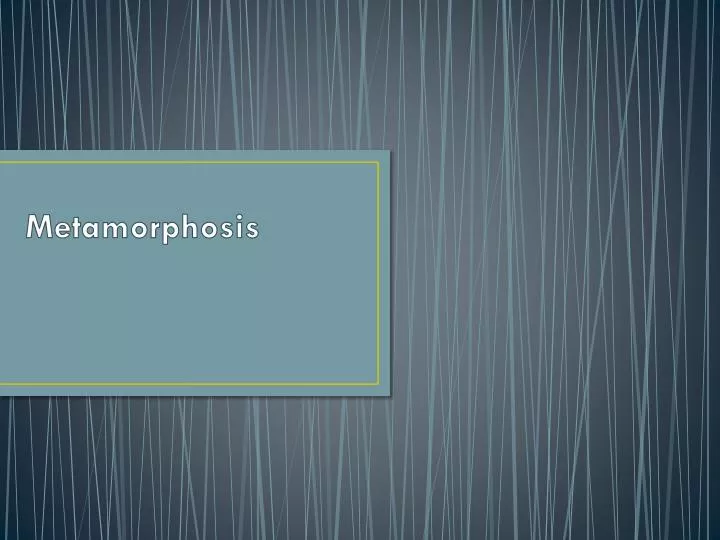 PPT - Metamorphosis PowerPoint Presentation, free download - ID:2011944