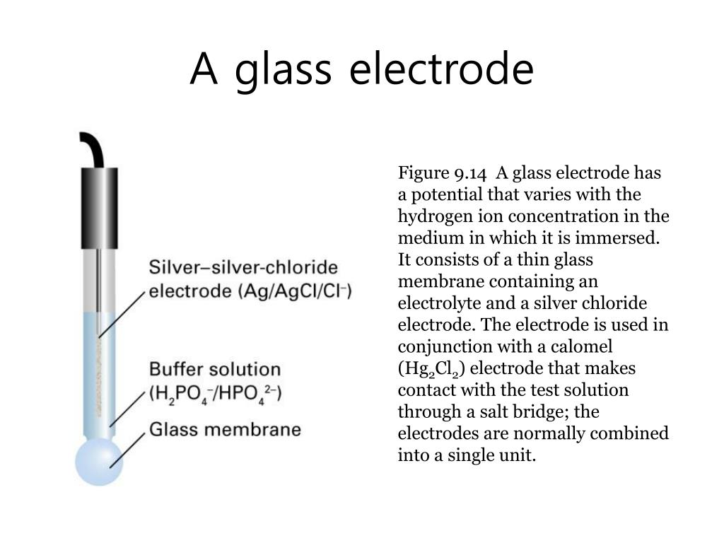 PPT - Chemical equilibrium: electrochemistry PowerPoint Presentation ...