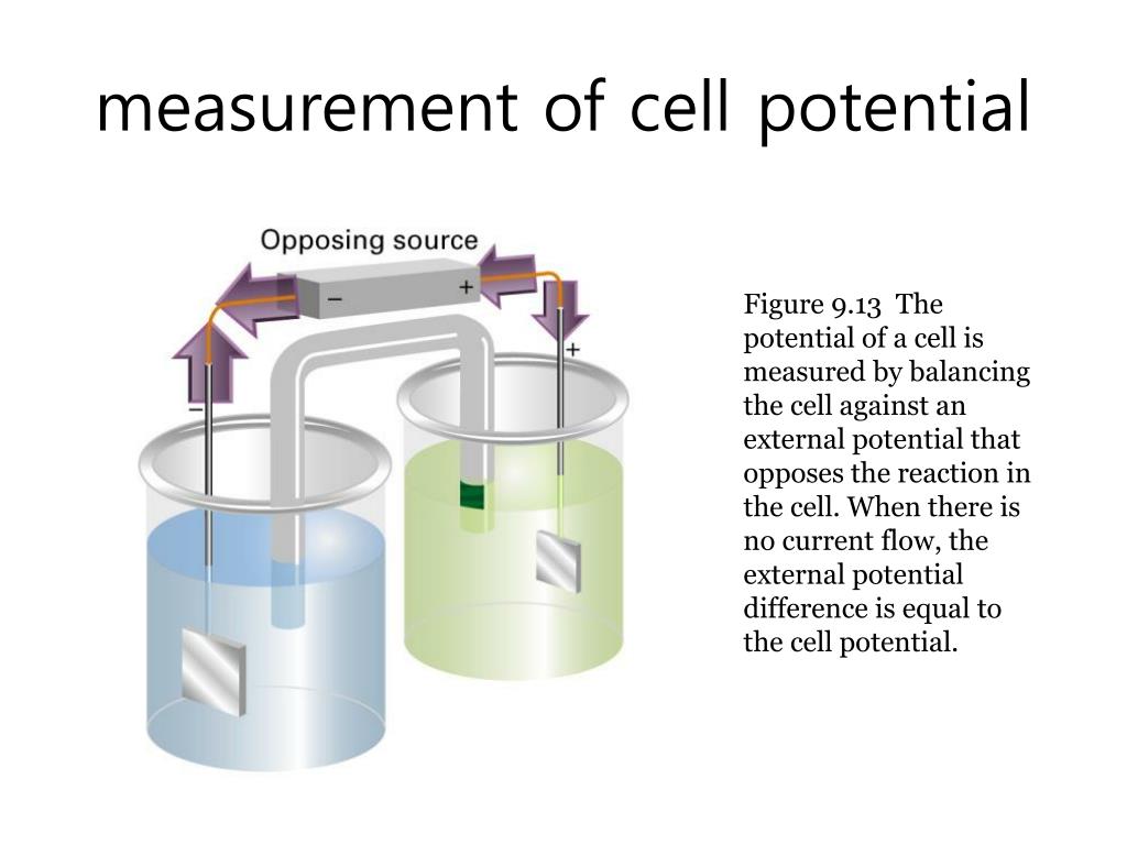 PPT - Chemical equilibrium: electrochemistry PowerPoint Presentation ...