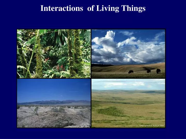PPT - Interactions of Living Things PowerPoint Presentation, free ...