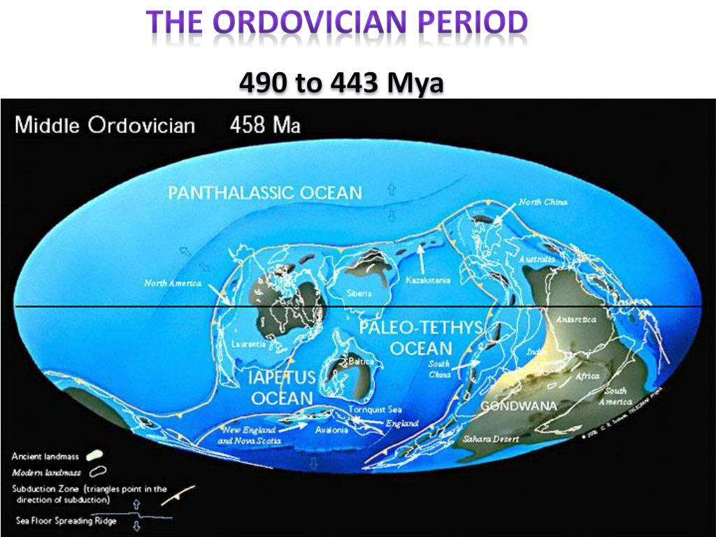 PPT - The Ordovician Period 490 to 443 Mya PowerPoint Presentation ...