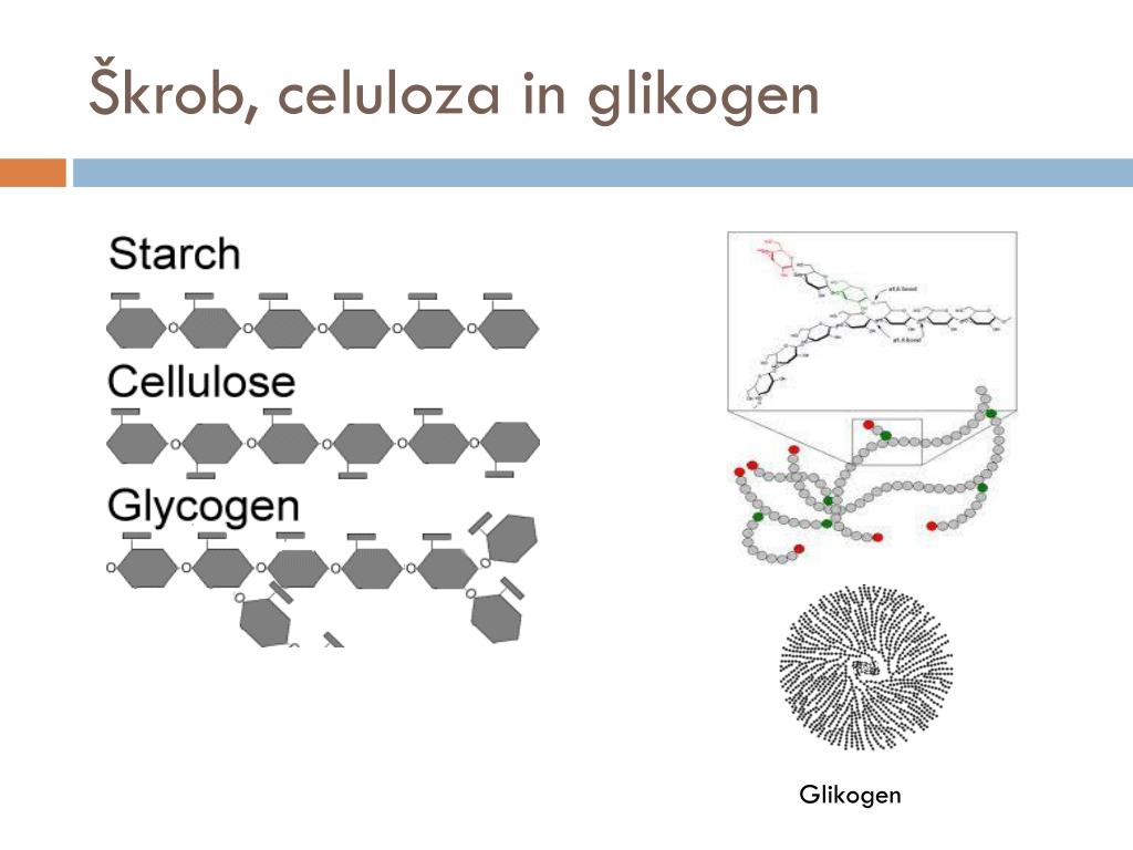 PPT - Osnove gastronomije PREHRANSKI VIDIKI HRANLJIVIH SNOVI ...