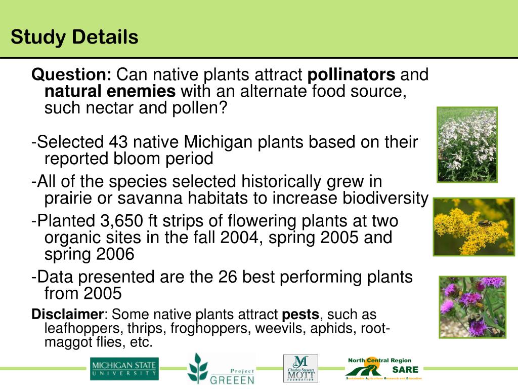 PPT - Michigan Native Plants that Attract Beneficial Insects ...