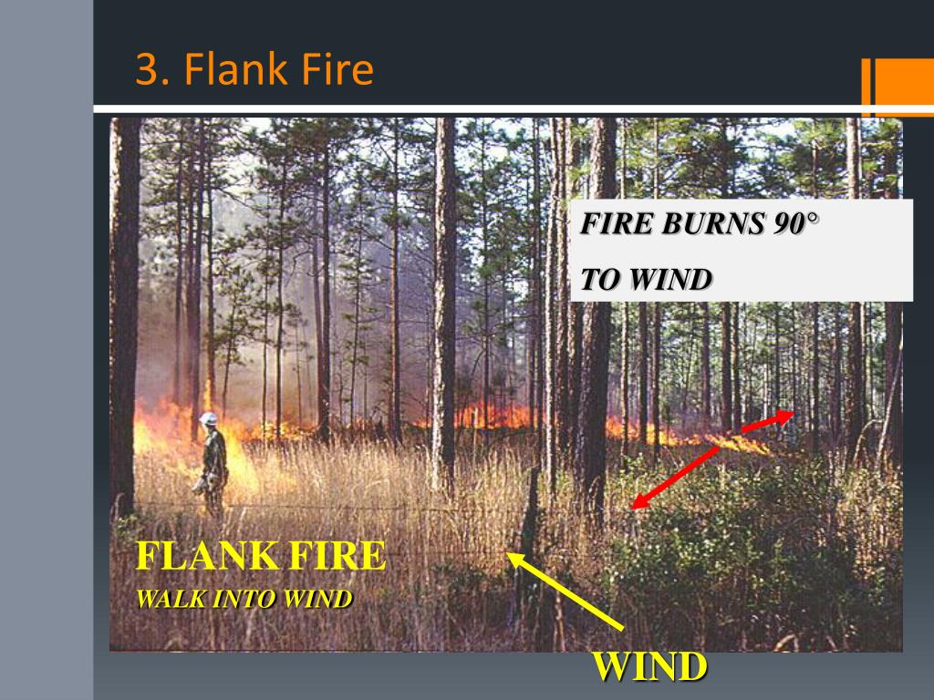 PPT - Interagency Prescribed Fire Training/ Fire Ecology and Management ...