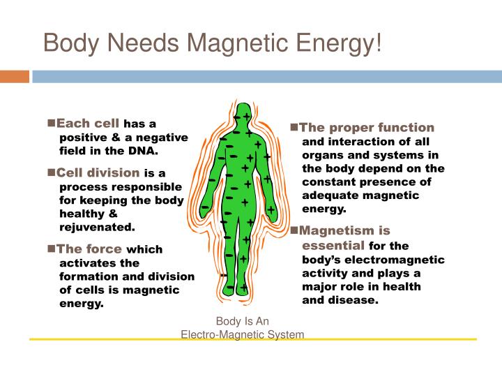PPT - Bioelectromagnetism PowerPoint Presentation - ID:2012981
