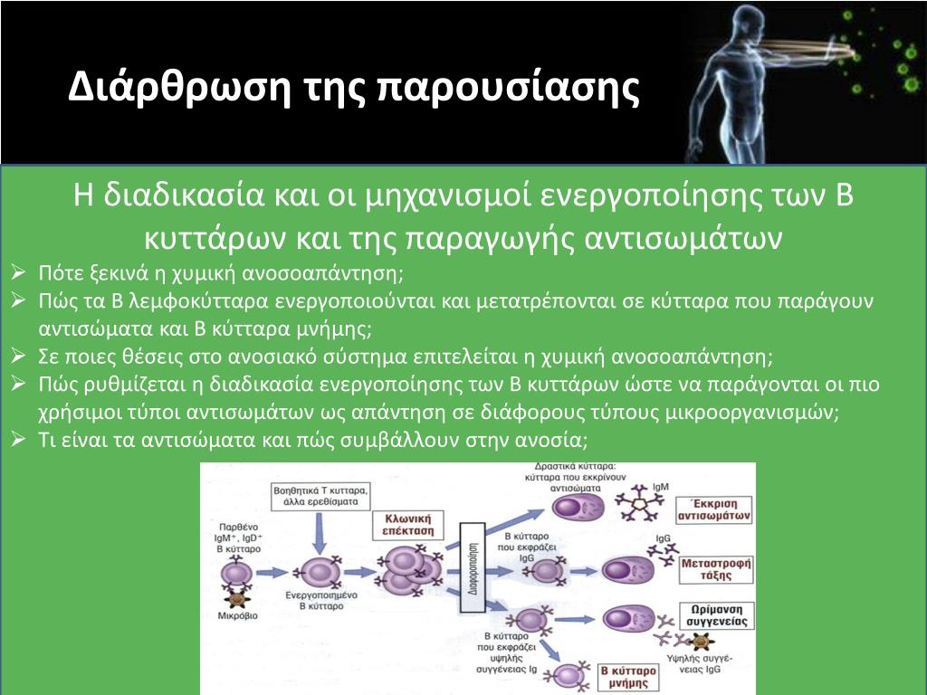 PPT - Χυμική ανοσία Πολυξένη Τσιαβή Ειδικευόμενη Ιατρικής Βιοπαθολογίας ...