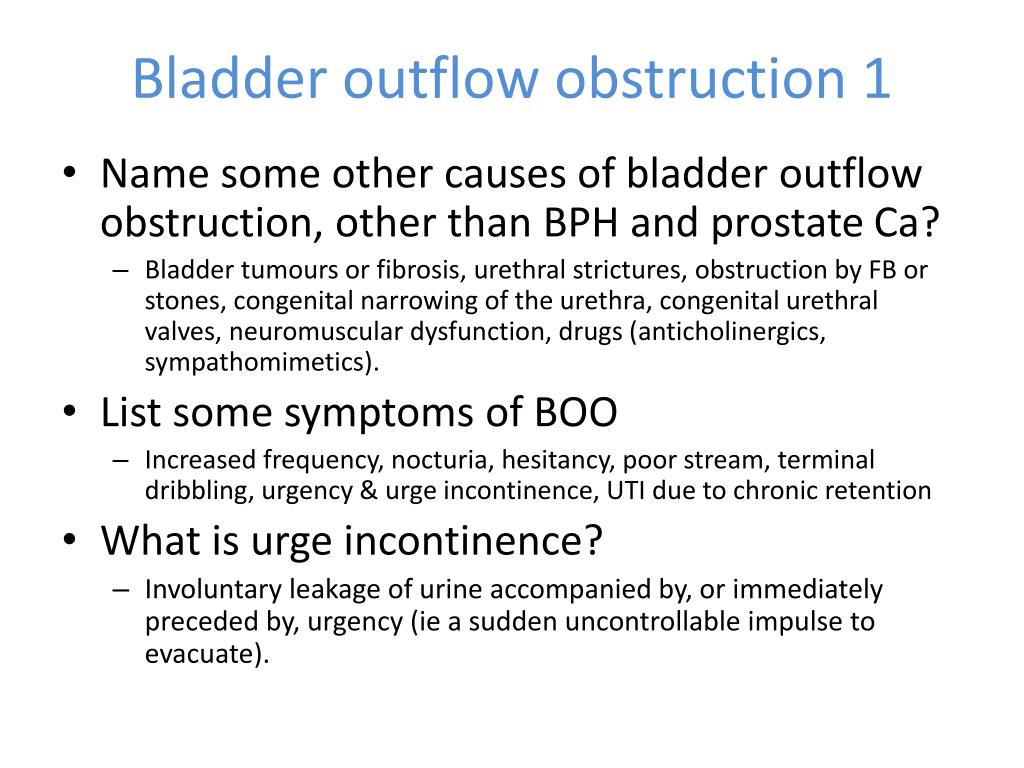 PPT - Haematology and Neoplasia PowerPoint Presentation, free download ...