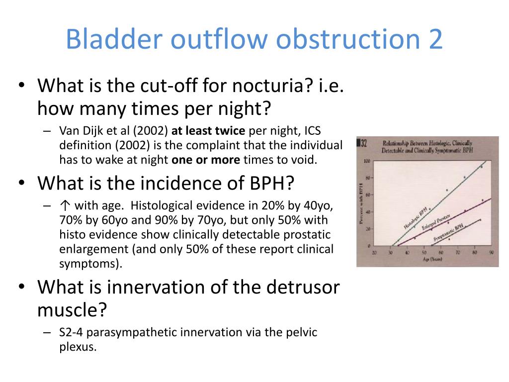PPT - Haematology and Neoplasia PowerPoint Presentation, free download ...