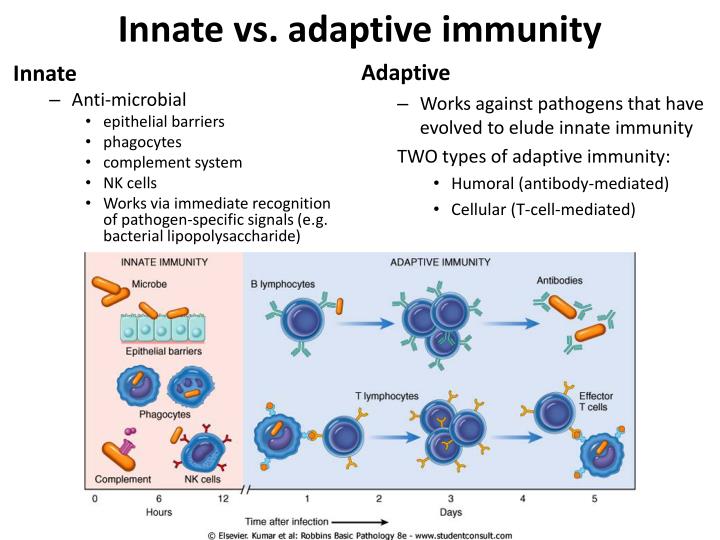 PPT - Diseases of the Immune System and Neoplastic Disease PowerPoint ...