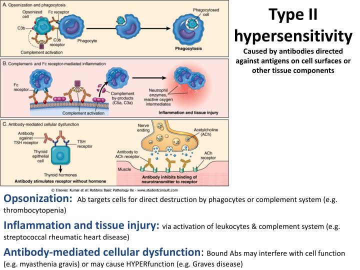 PPT - Diseases of the Immune System and Neoplastic Disease PowerPoint ...
