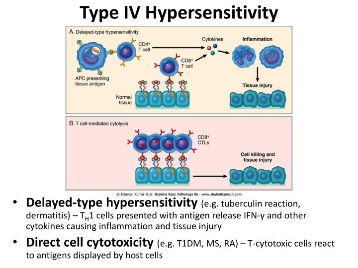PPT - Diseases of the Immune System and Neoplastic Disease PowerPoint ...