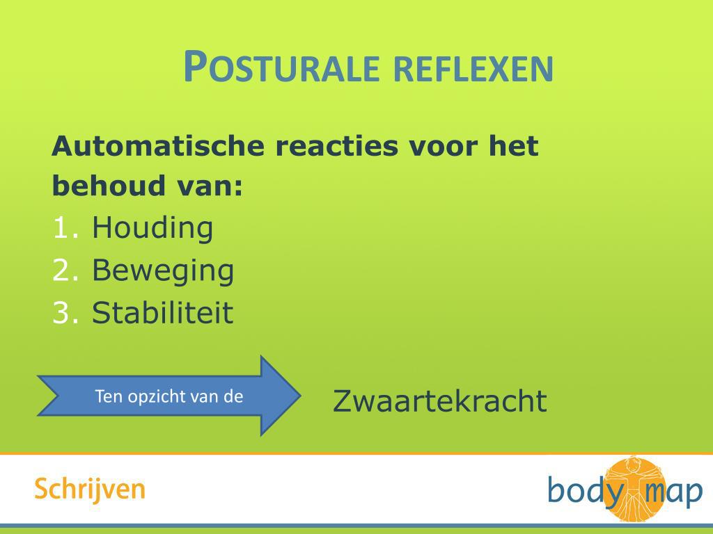 PPT - Belang van beweging voor ontwikkeling van de hersenen PowerPoint ...