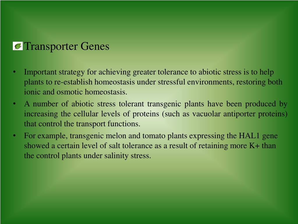 PPT - Transgenic Approaches For Abiotic Stress Tolerance In Plants ...