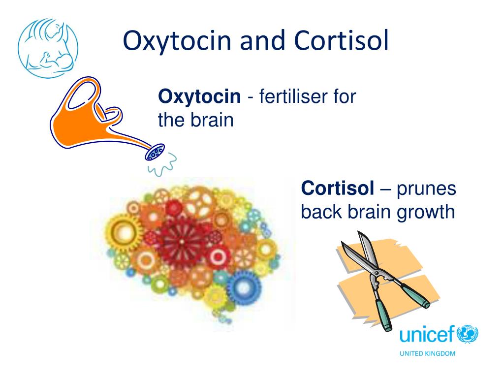 PPT - Going baby Friendly – W hy Breastfeeding is important to all of ...
