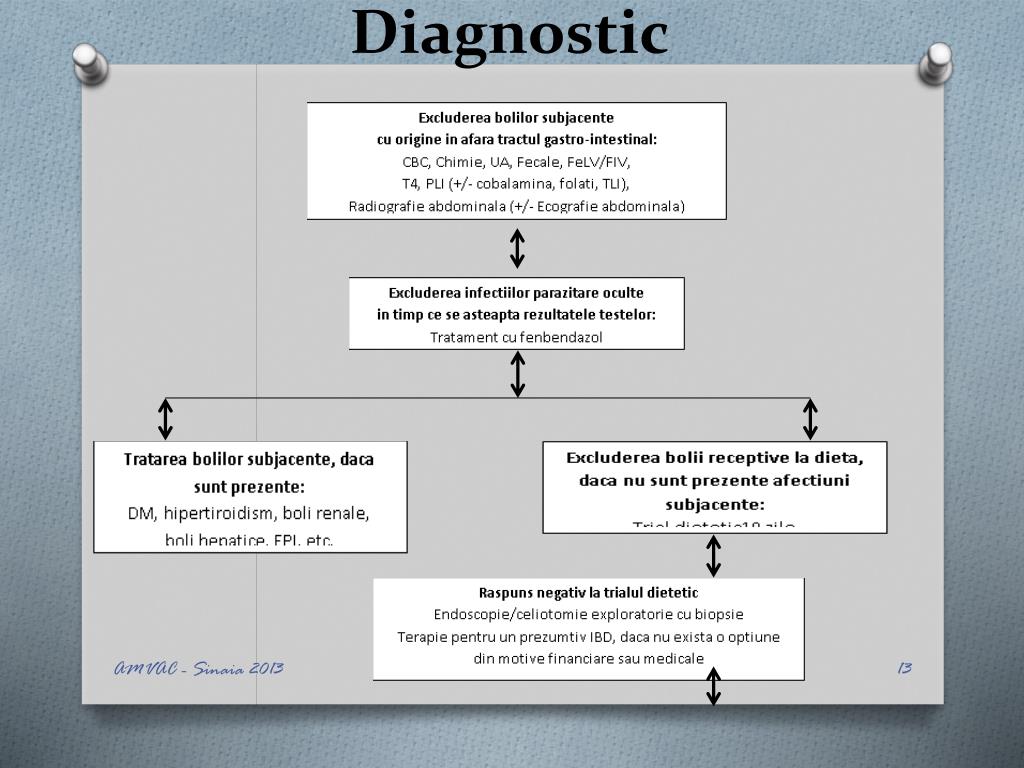 PPT - Boala inflamatorie idiopatica intestinala la pisica PowerPoint ...