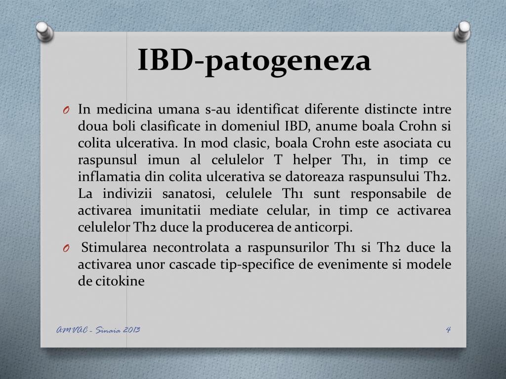 PPT - Boala inflamatorie idiopatica intestinala la pisica PowerPoint ...