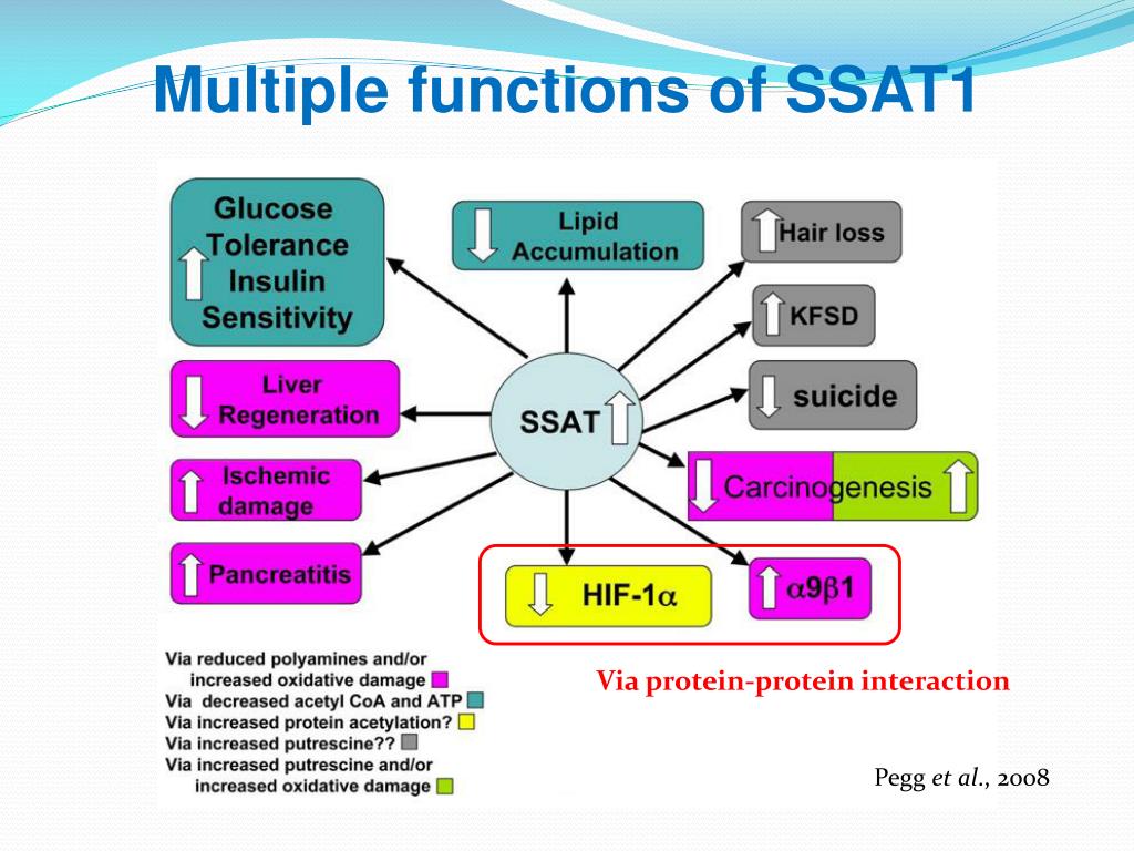 PPT - Han- Jia Lin Ph.D National Taiwan Ocean University PowerPoint ...