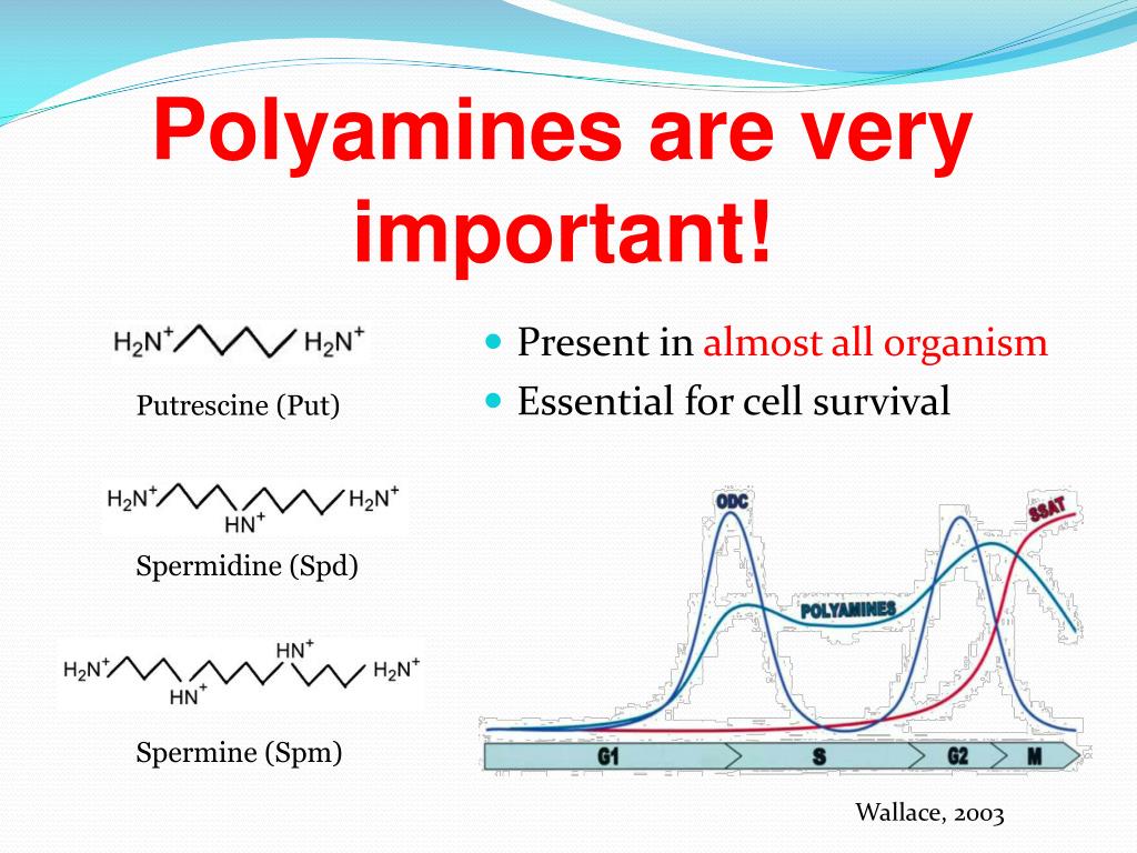 PPT - Han- Jia Lin Ph.D National Taiwan Ocean University PowerPoint ...