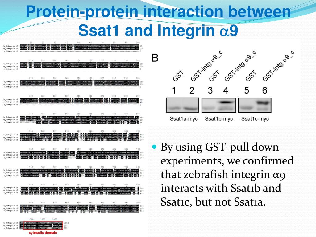 PPT - Han- Jia Lin Ph.D National Taiwan Ocean University PowerPoint ...