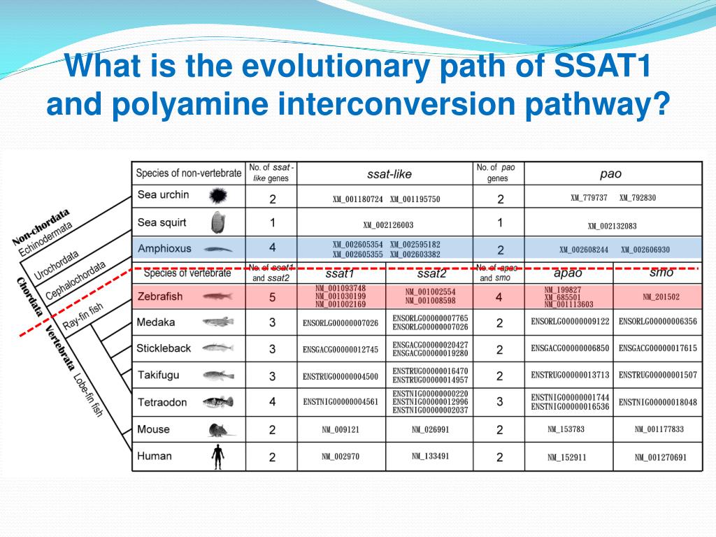 PPT - Han- Jia Lin Ph.D National Taiwan Ocean University PowerPoint ...