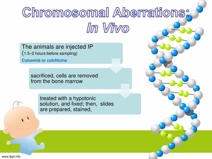 PPT - In Vitro Genetic Toxicity Testing PowerPoint Presentation - ID ...