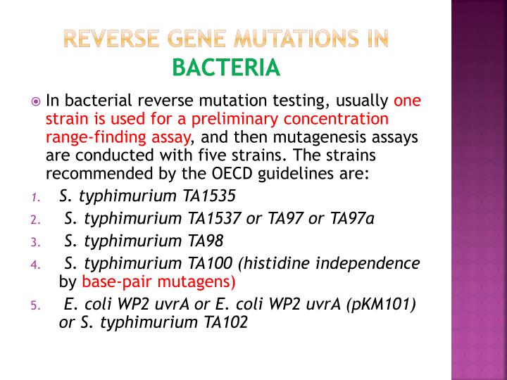 PPT - In Vitro Genetic Toxicity Testing PowerPoint Presentation - ID ...