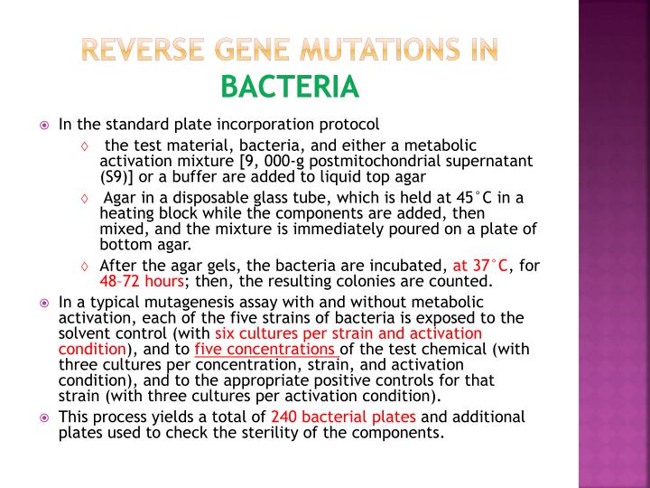 PPT - In Vitro Genetic Toxicity Testing PowerPoint Presentation - ID ...