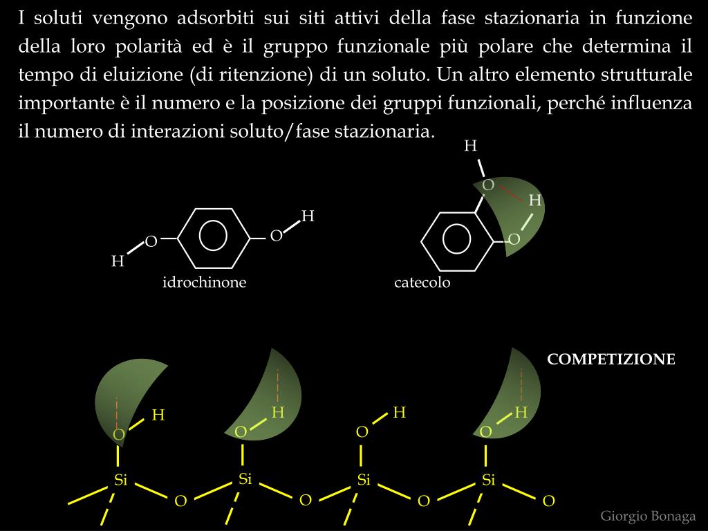 PPT - L.S. in Scienze e tecnologie alimentari Anno Accademico 2008/2009 ...