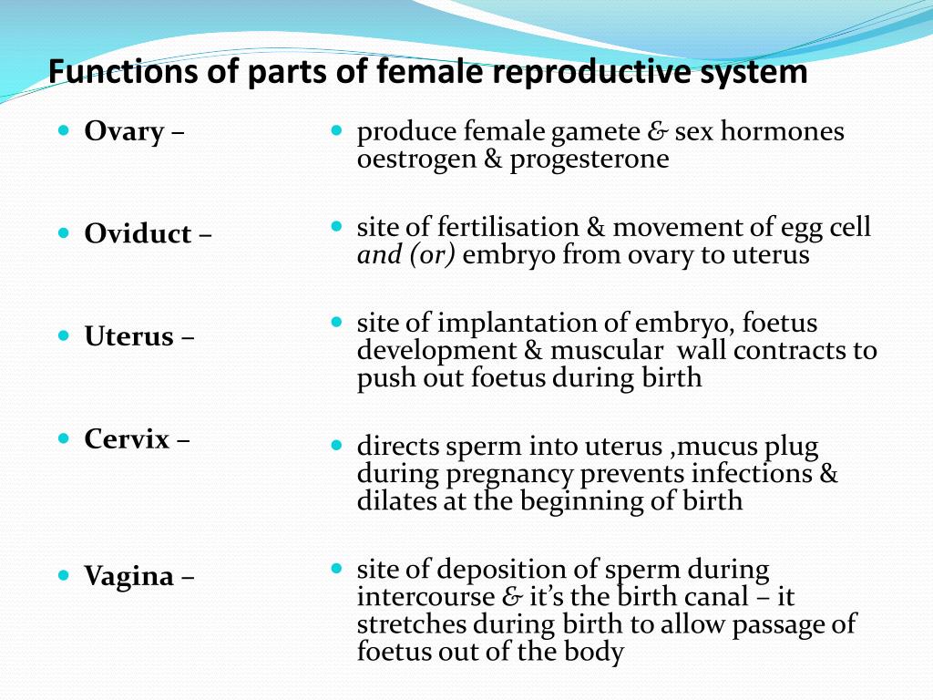 Ppt 6 6 Reproduction Powerpoint Presentation Free Download Id 2014735