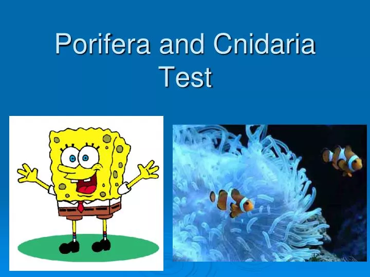 PPT - Porifera and Cnidaria Test PowerPoint Presentation, free download ...