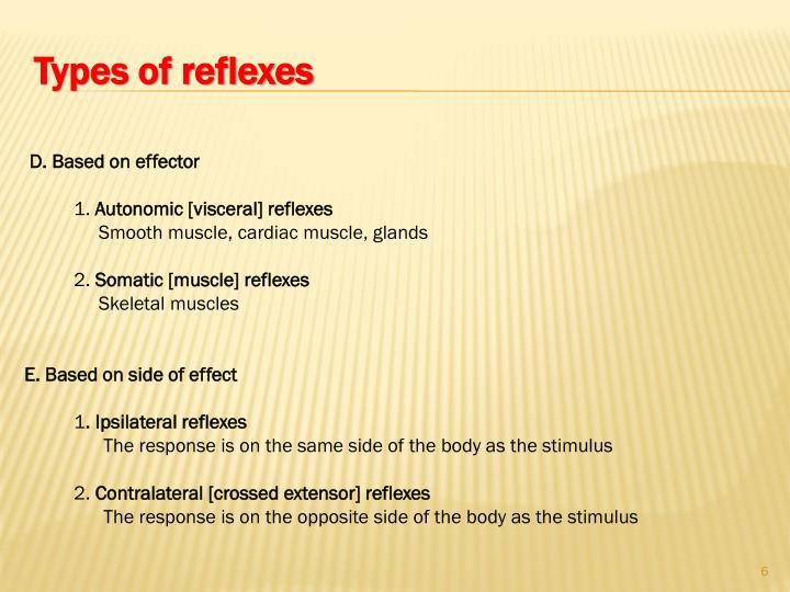 PPT - Spinal Cord reflexes PowerPoint Presentation - ID:2015673