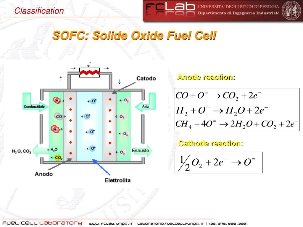PPT - Università degli Studi di Perugia PowerPoint Presentation, free ...