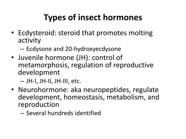 PPT - Internal Anatomy of Insects (Lectures 13) PowerPoint Presentation ...