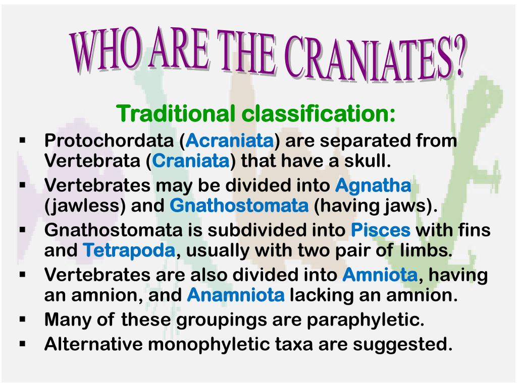 PPT - Mrs. Ofelia Solano Saludar Department of Natural Sciences ...