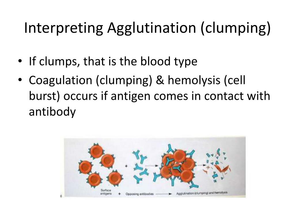 PPT - Serology, Forensic Pathology, & Entomology PowerPoint ...