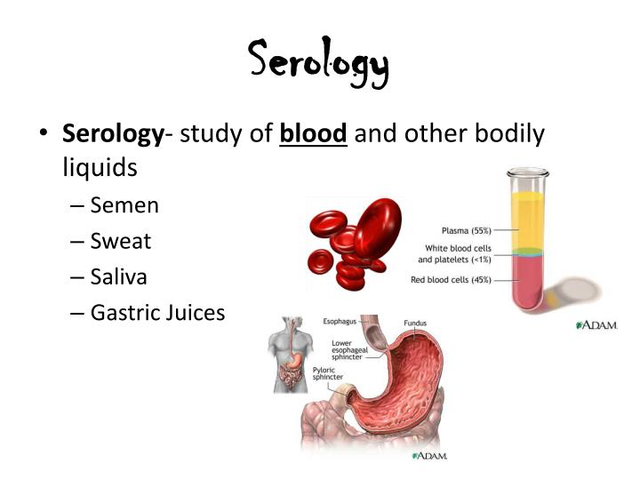 Serology