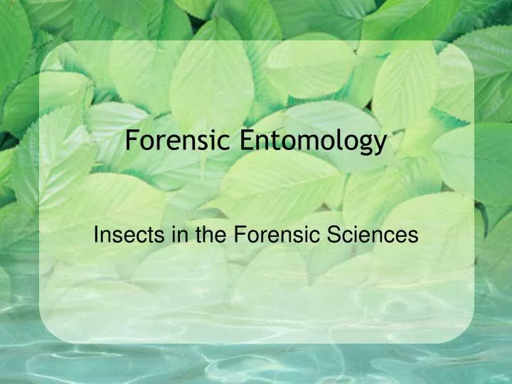 PPT - Forensic Entomology PowerPoint Presentation, free download - ID ...