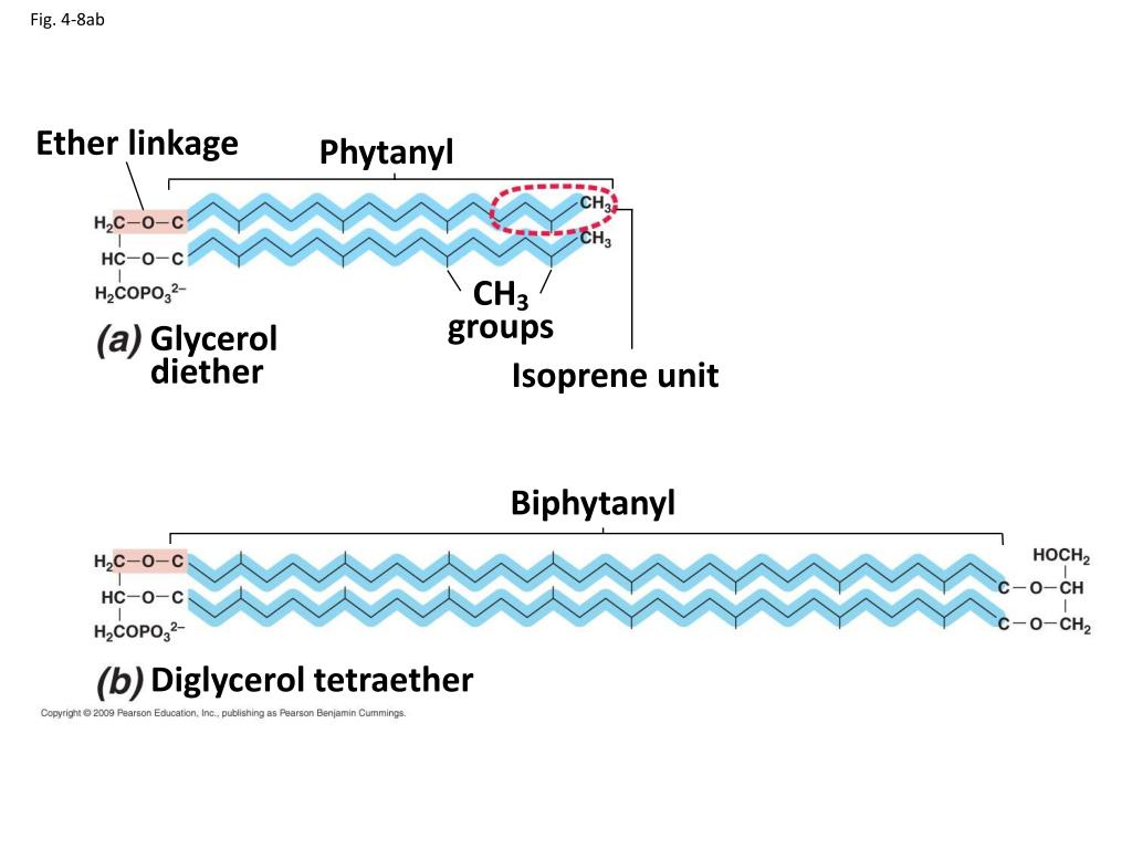PPT - Biology 422 Microbiology PowerPoint Presentation, free download ...