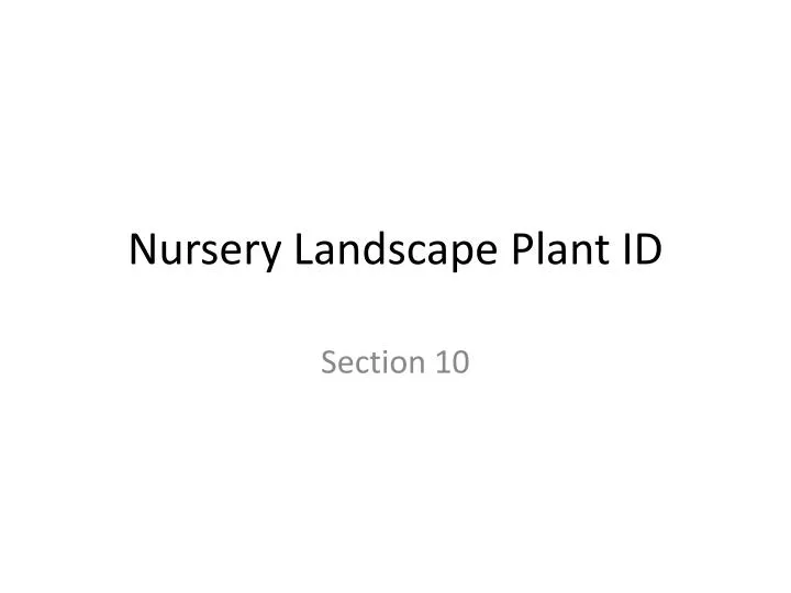 PPT - Nursery Landscape Plant ID PowerPoint Presentation, free download ...