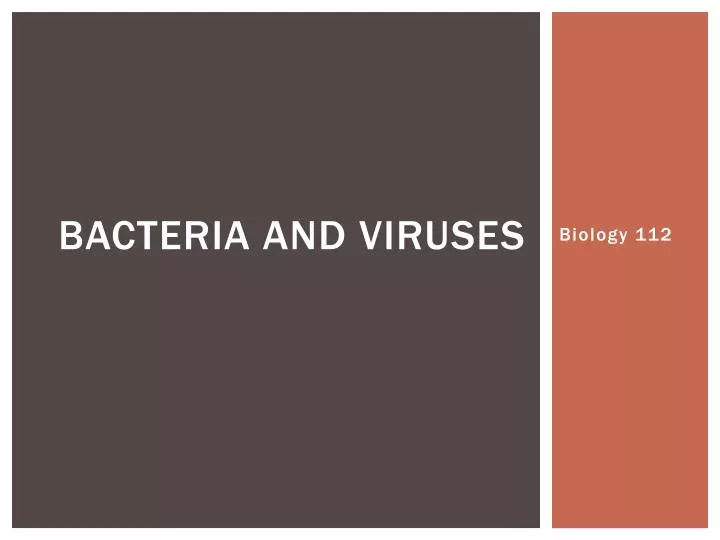 PPT - Bacteria and viruses PowerPoint Presentation, free download - ID ...
